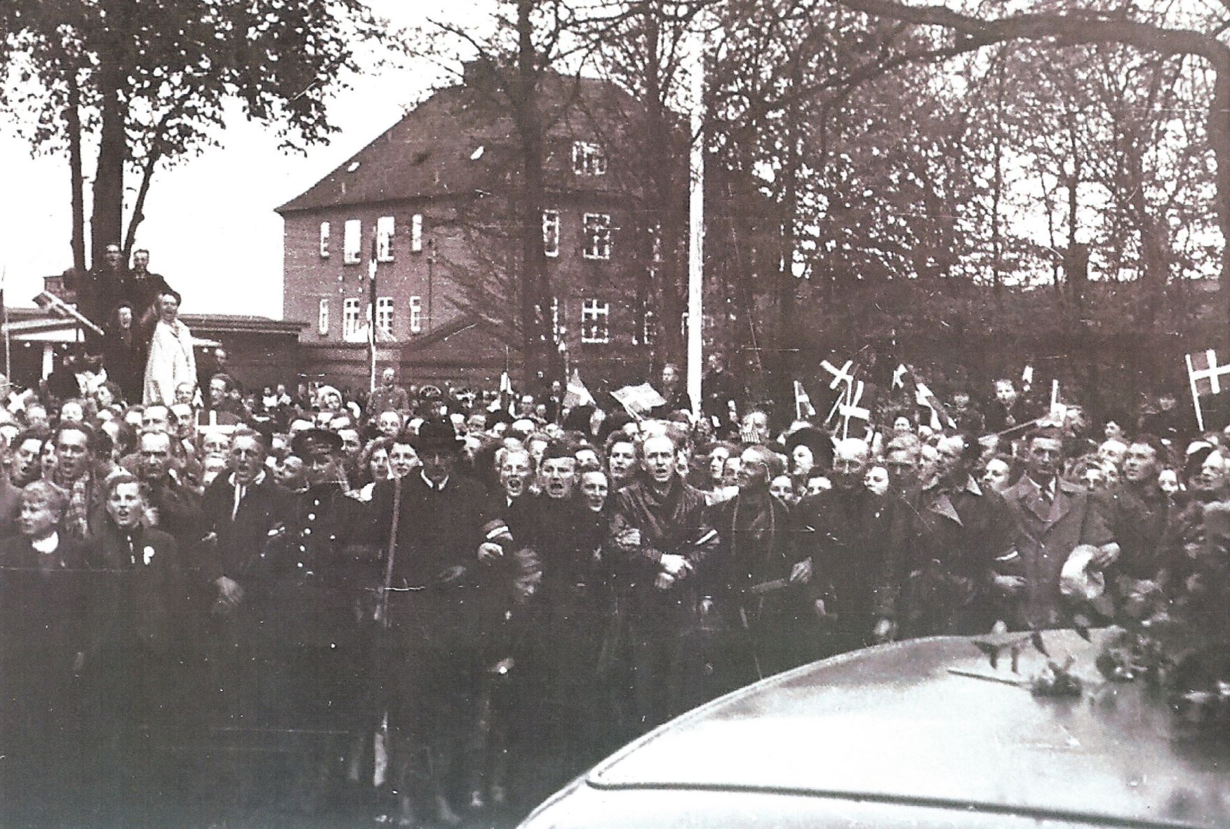 Billeder fra Hellevad området